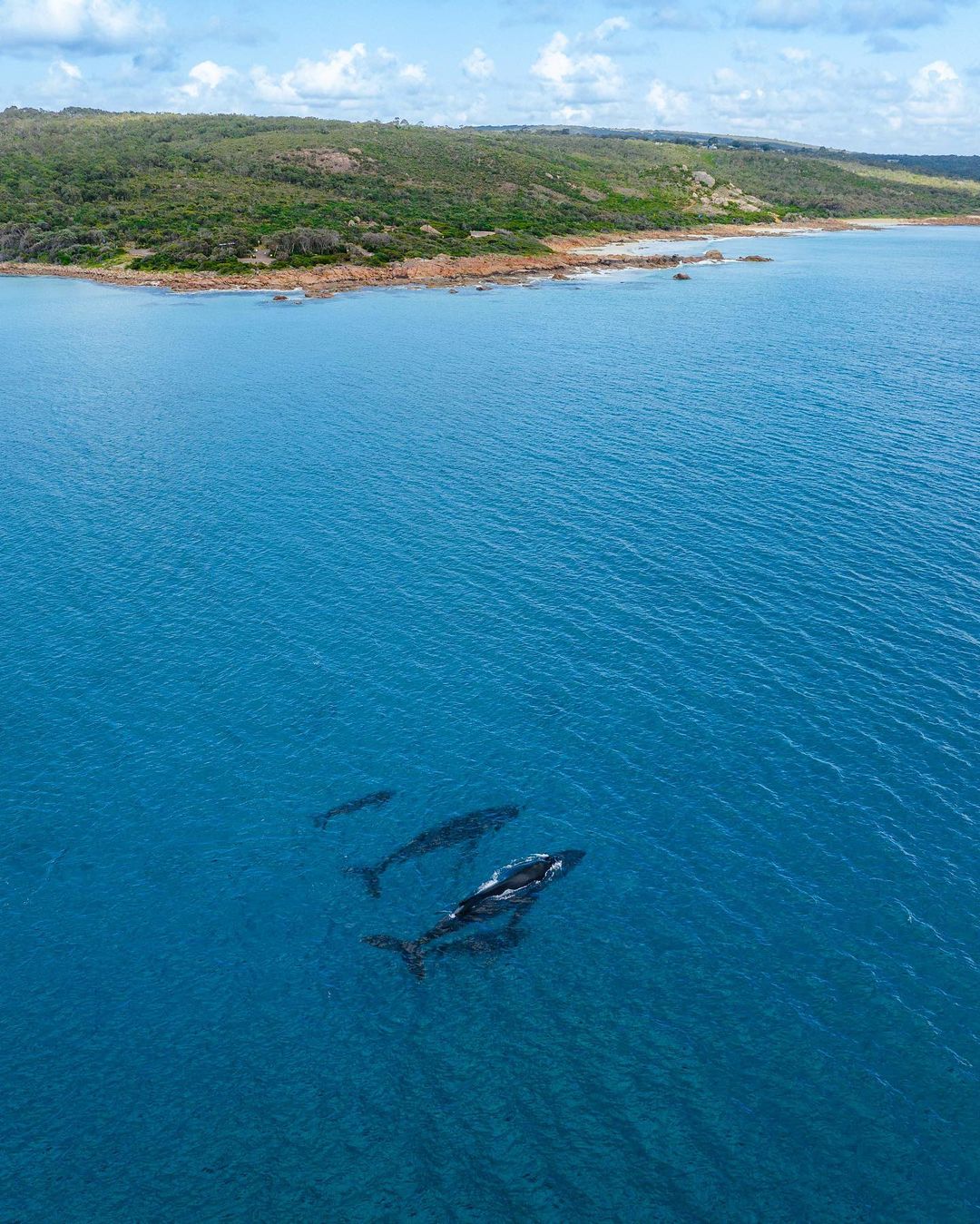 Spring at Smiths Beach - Smiths Beach Resort